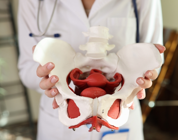 #1 Defecogram Test in Katy | Pelvic Floor & Bowel Evaluation
